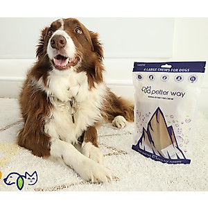 a petter way Himalayan Yak Chews, Natural Dog Treats, Limited Ingredients, 68 Grams of Protein, raw-Hide Alternative, Large Dog Chews for Aggressive chewers (Cheese)