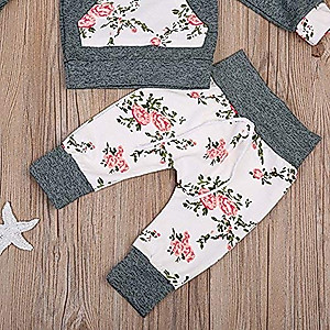 Baby Girls Long Sleeve Flowers Hoodie Top and Pants Outfit with Kangaroo Pocket (12-18 Months, A)