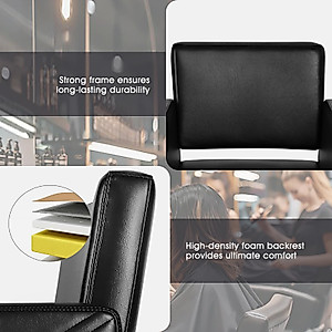 Artist Hand Salon Chair for Hair Stylist, Stylist Chair with Heavy Duty Hydraulic Pump, 360 Degrees Rolling Swivel Spa Beauty Equipment for Hair Stylist Women Man, Max Load Weight 330 Lbs