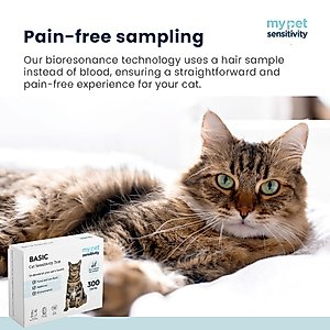 My Pet Sensitivity Test - Home Cat Sensitivity Test | 300 Items | Fast 3-5 Day Results | Gentle Fur Sampling | Comprehensive Food & Environment Analysis | Suitable for All Cats