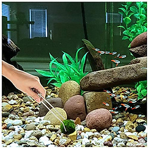 KR Harmony Aquascape Tools 3 in 1 Aquarium Scissors Tweezers Stainless Steel Anti Rust Aquatic Plant Tools for Fish Tank Clean