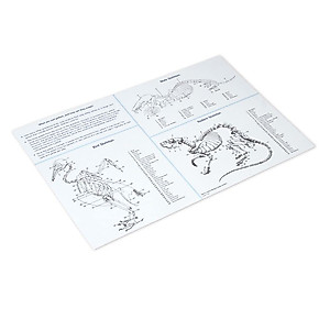 Carolina Owl Pellet Dissection Mat