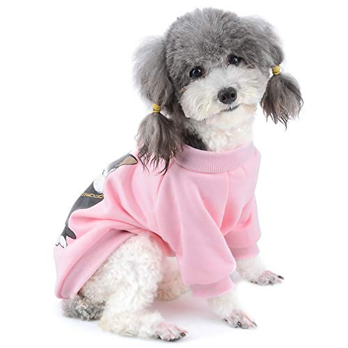 Zunea Pet Dog Cat Winter Coat for Small Dogs Puppy Jacket Clothes Soft Warm Cotton Padded Pullover Sweater Chihuahua Sweatshirt Yorkshire Clothing Apparel Pink XXL