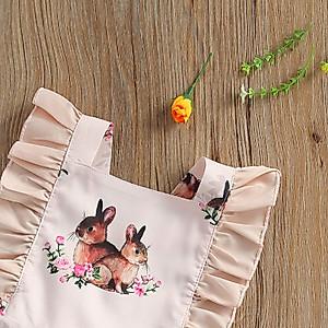 Toddler Kids Baby Girls Easter Clothes Bunny Sleeveless Romper Bodysuit Headband Rabbit Ruffle Dress Baby Sister Matching Outfits (Pink Dress, 18-24 Months)