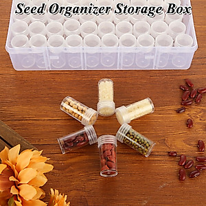 2Pack 60 Diamond Painting Storage Containers Plastic Bead Organizer Box with Label Sticker, Diamond Art storage Clear Bead Storage Containers Accessories for Seeds Sewing Craft Glitter Rhinestones