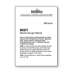 Burpee Moulin Rouge Hybrid Beet Seeds 300 seeds