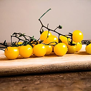 SUNSUGAR SUN SUGAR TOMATO SEED ~ SWEETEST TOMATO AVAILABLE ? - EXTREMELY SWEET - Very Early Cherry Tomato - 50 - 55 DAYS (0015 Seeds - 15 Seeds - Pkt. Size)