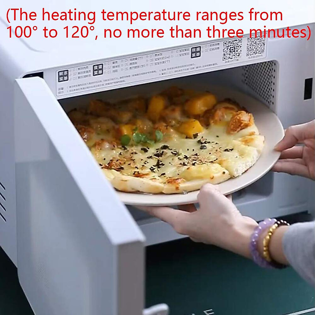 Set of 10 Large Dinner Plates 11 Inch, Reusable Wheat Straw Dessert Dishes, Round Pasta Salad Serving Plate, Unbreakable Kids Fiber Tableware for Party Steak Pizza (Beige)