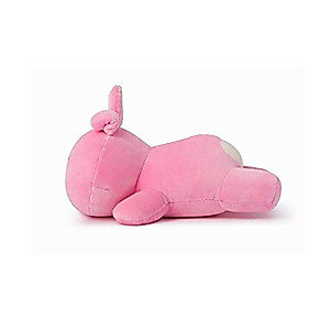 Lerion Pillow Doll Plush Small Plush Puppets Toy Bangtan Boys Throw Pillow Cushion Perfect for Home/Car/Office/Travel/School Decor Great Gift (Cooky)