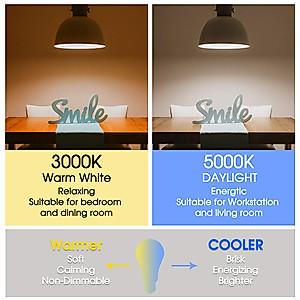 Energetic Lighting 24 Pack Led Bulbs 60 Watt A19, Warm White 3000K, E26 Medium Base LED Light Bulbs, 750 Lumens, Non-dimmable, UL Listed