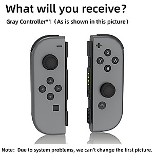 forajoy Joypads for Switch Controller,Gray Joypads Switch Controller for Nintendo Switch/Lite/OLED,Left and Right Switch Joypad Support Dual Vibration/Wake-up Function/Motion Control,No NFC