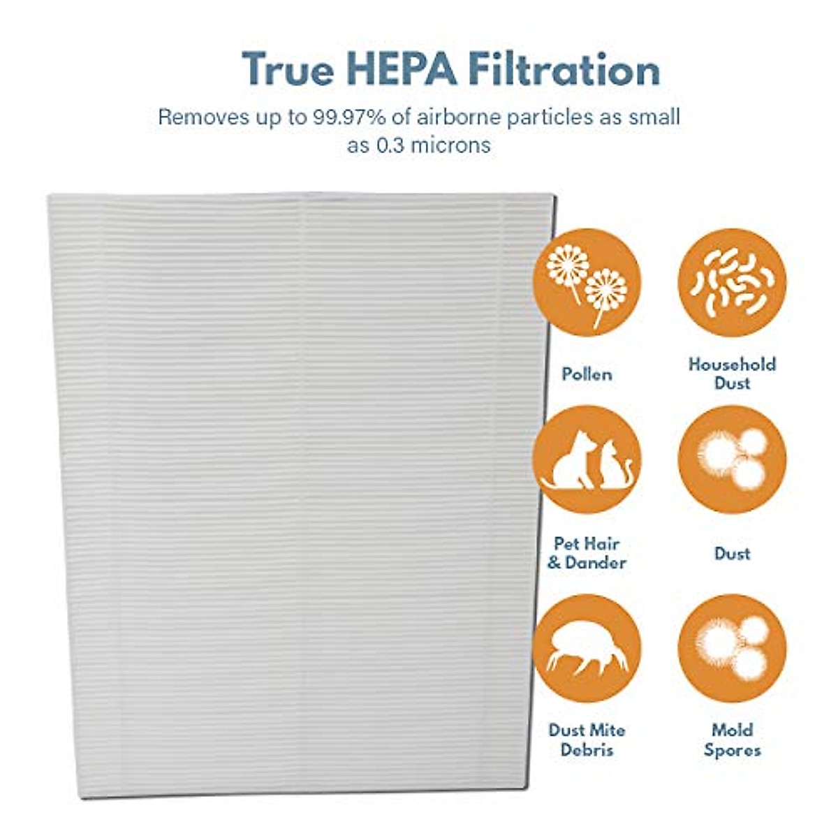 Filter-Monster 115115 True HEPA Replacement Filter A Combo Compatible with Winix Plasmawave Series Air Purifier Models 6300, P300, 5300, 5500, 5300-2, 6300-2, C535