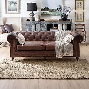 Mohawk Home Francesca Ornamental Medallion Sand 10' x 14' Shag Area Rug Perfect for Living Room, Dining Room, Office