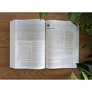 Tyndale NLT Life Recovery Bible (Large Print, Softcover) 2nd Edition - Addiction Bible Tied to 12 Steps of Recovery for Help with Drugs, Alcohol, Personal Struggles - With Meeting Guide