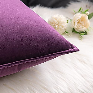 Comvii Purple Pillows - Decorative Pillows, Inserts & Covers (2 Throw Pillows + 2 Pillow Covers ) - Throw Pillows for Couch - Velvet Throw Pillows for Bed -flanged Pillow Covers 18x18 – Purple