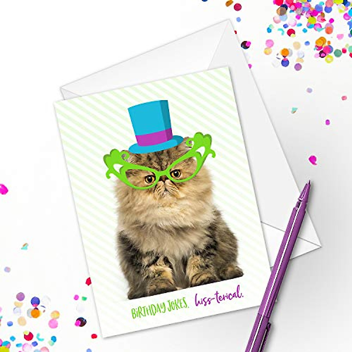 Funny Cat Pun Birthday Card Pack / 24 Cat Birthday Cards With White Envelopes / 4 7/8" x 3 1/2" Cats Birthday Note Cards/Hilarious Cute Kitten Birthday Greeting Cards