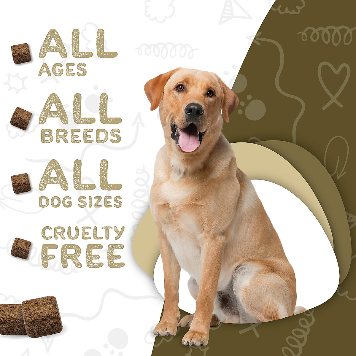 waggedy Daily Essentials Adult Soft Chews — Dog Multivitamin & Immune System Supporter — Dog Nutritional Supplement — Small/Large Dog Supplements & Vitamins (60 Chews)