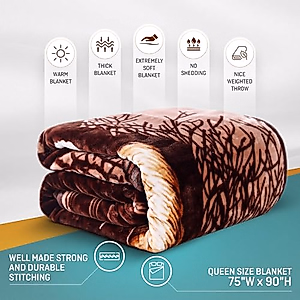 Tiger Blanket Mink Blanket Korean Blanket Heavy Blankets Queen Size Tiger Throw Blanket Korean Mink Blanket Tiger Statue Animal Blanket Bed Warm Blanket Full Queen Animal Blankets Mexican Blanket