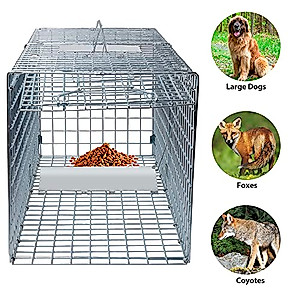 Toriexon Large Live Catch Animal Traps 42 X 15 X 17Inch, Live Animal Trap Easy to Set and Release, Collapsible Large Animal Catcher Cage for Large Dogs, Foxes