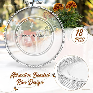 18 PCS Clear Charger Plates with Beaded Rim 13 Inch Plastic Acrylic Round Dinner Plate Chargers Decorative Plates for Home Kitchen Party Wedding Tabletop Decor (Clear)