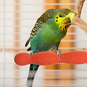 TEHAUX Parrot Toys Bird Perch, Parrot Perch Stand Toy 20cm Bird Cage Perch (Random Color) Bird Cage Accessories