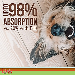 Licks Pill Free Dog Digestion - Dog Gut Health and Gas Relief - Bloating Relief and Digestion Supplement for Dogs - Dog Health Supplies - Gel Packets - 10 Use