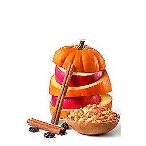 Sprout Organic Baby Food Pouches Stage 3 Plant Powered Protein, Pumpkin Apple Red Lentil w/ Cinnamon, 4 Oz (Pack of 12)