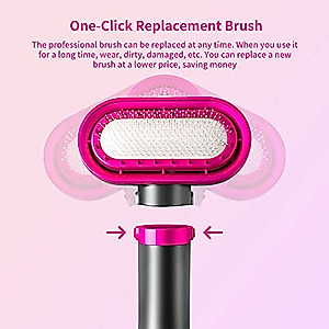 Upgraded Pet Hair Dryer Brush,2 in 1 Pet Grooming Dryer for Small/Medium Dog & Cat,2 Heat Settings & 3 Adjustable Blowing Dryer