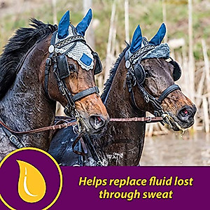 Horse Health Apple-Dex Apple Flavored Electrolytes for Horses, Replaces minerals lost during exercise, under stress or extreme weather conditions, 5 pound