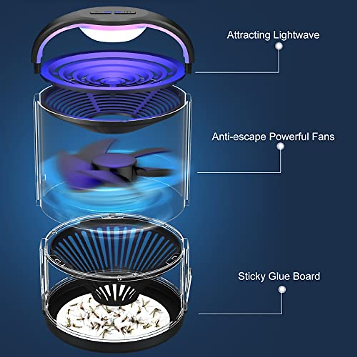 Fly Traps, Gnat Traps, Moth Traps, Mosquito Traps with 10 Sticky Glue Boards Fruit Fly Traps Indoor, Black