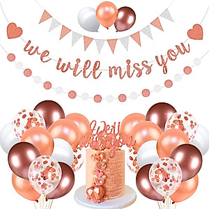 We Will Miss You Banner Coworker Going Away Farewell Decorations Rose Gold Glitter Dot Circle Garland Triangle Flag Banner For Goodbye, Retirement, Job Change, Later Traitor Party Supplies (Rose Gold)