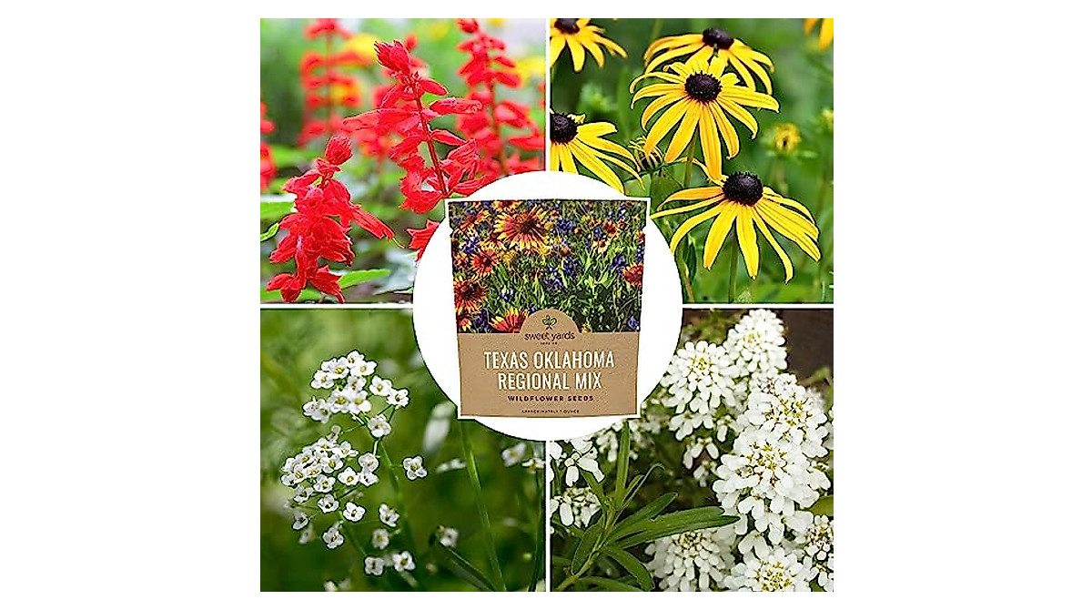 Texas Oklahoma Wildflower Seeds - 15,000 Seeds in 1 oz