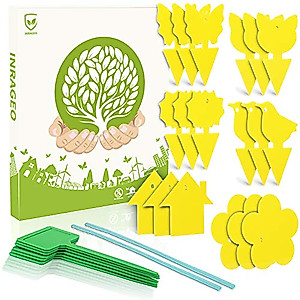 18 PCS Fruit Fly Trap Yellow Sticky Fungus Gnat Killer for Indoor and Outdoor Plant Insect Catcher for White Flies Mosquitos Fungus Gnats Flying Insects Houseplant Gift for Flower Lover (B24 18+6)