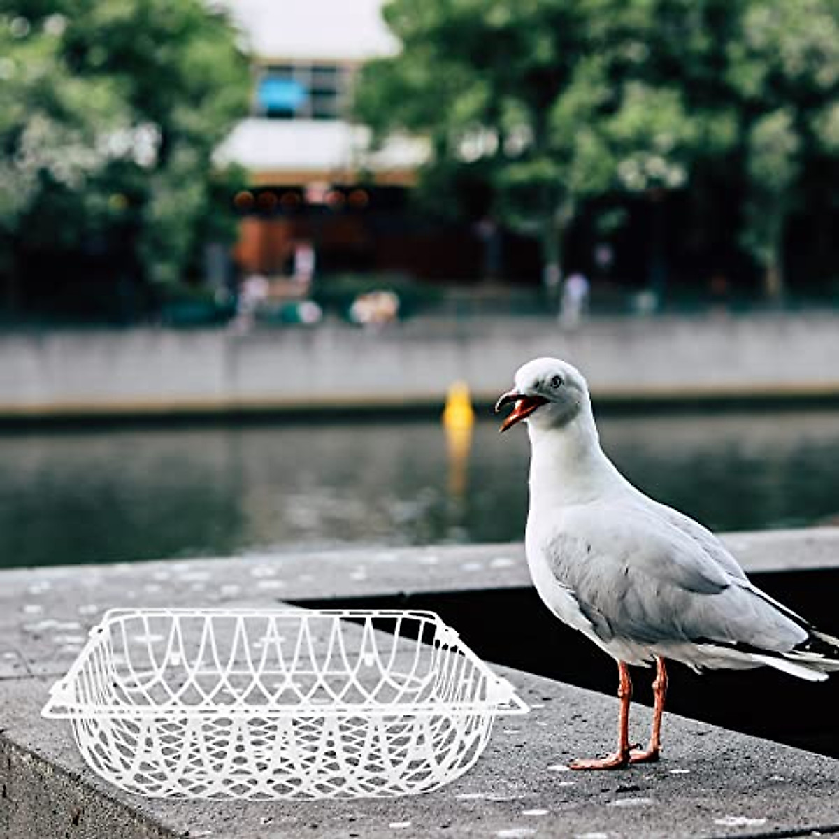 Happyyami 5 Sets Pigeon nest with Brown Cushion Pigeon Bird Pigeon Nesting Bowls Plastic Bird Multipurpose Tool pet Bird Accessories Multi-Function Breeding Nest pp White Incubator Birdcage