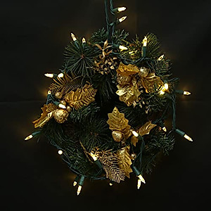 String Lights 100 Led Clear Mini Fairy Lights Christmas Lighting Decor AC 120V 35ft for Outdoor, Indoor, Garden, Patio, Lawn, Holiday, Bedroom Wedding Xmas