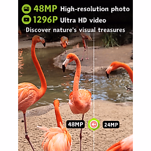 BLAZEVIDEO 2-Pack Trail Game Cameras 48MP 1296P Video No Glow Night Vision 110° Field of View Motion Activated IP66 Waterproof for Outdoor Wildlife Hunting, Animal Observation, Backyard Security