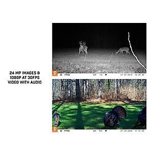 Bushnell Prime Low Glow Trail Camera - 24MP Image Quality, 1080p HD Video, Advanced Sensor Technology for Clear Nighttime Captures, Brown