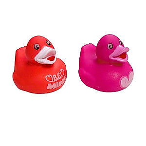 Cool Valentine's Day Holiday Rubber I Love You XO Be Mine Ducks (2") Standard Size. White, Red, Pink and Purple. (12 Pack) Cute Duck Bath Tub Pool Toys. (Valentine's Day Rubber Ducks)