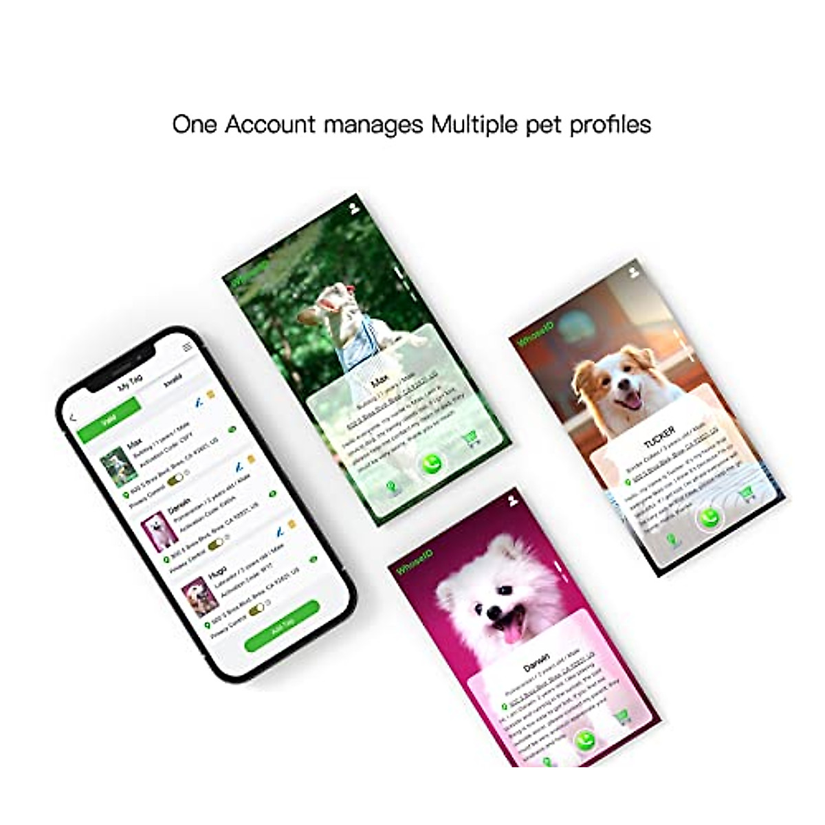 WhoseID QR Code Dog Tag, Pet ID Tag, Dog ID Tag, Waterproof Lightweight Silent Pet ID Tag, Modifiable Free Pet Online Profile, Multiple Contact Information, Scan QR Code Send Pet Location (Paw, Rose)