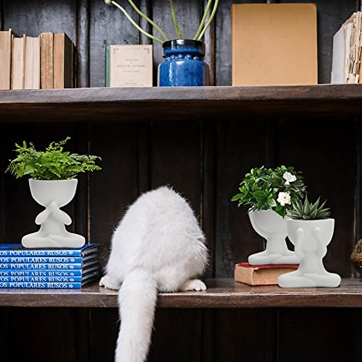3 Pack Ceramic Succulent Plant Pot, Creative Human Shaped Planter, Decorative Resin Succulent Planter Vase Human Face Flower Pot Plant Container Bonsai Holders Desktop Flower Table Art Statue, White