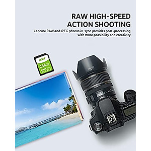 Acer SC900 256GB SDXC UHS-II Professional Digital SD Memory Card - C10, U3, V90, 4K, Full HD Video - Up to 300MB/s Read Speed for DSLR and Camera - BL.9BWWA.312