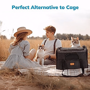 Pet Travel Carrier Bag, Morpilot Portable Pet Bag - Folding Fabric Pet Carrier, Travel Carrier Bag for Dogs or Cats, Pet Cage with Locking Safety Zippers, Foldable Bowl, Airline Approved