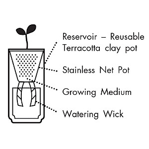 Aloe Vera Grow kit - Comes with Terracotta Planter. Grow an Aloe Vera Succulent Plant from Seed. Perfect for Garden Enthusiasts, Indoor & Outdoor Growing, a Must-Have for Any Plant Lover