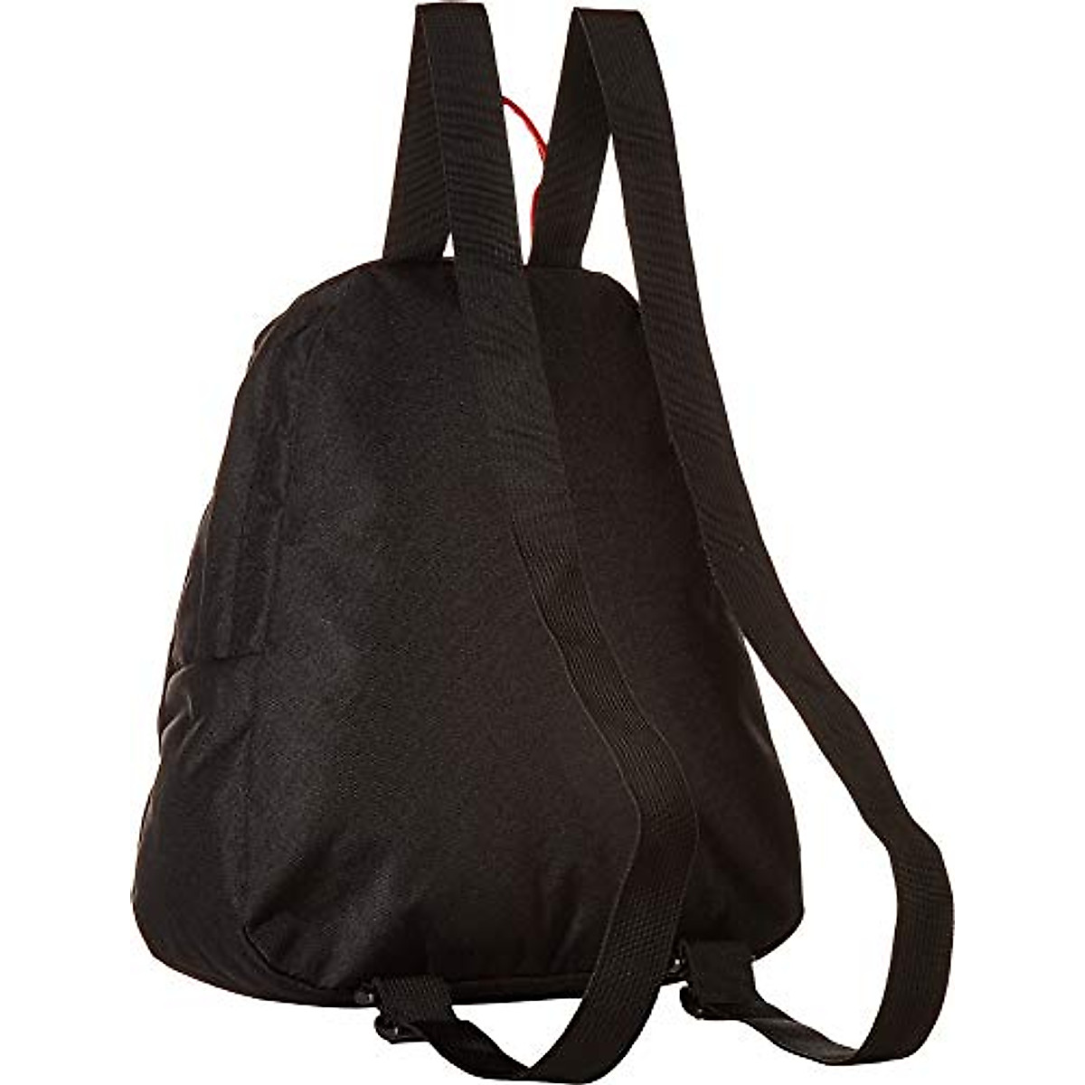 JanSport Half Pint Mini Backpack (Mexican Flag, One Size)