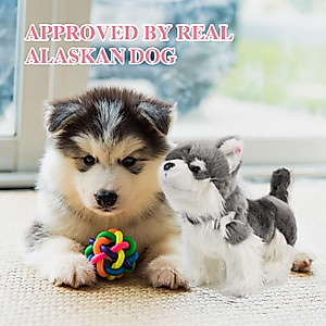 Husky Stuffed Animal, Alaskan Malamute Dog Plush, Realistic Dog Plushie for Kids, Weighted Dog Toy Stuffed Animals, 9 Inch