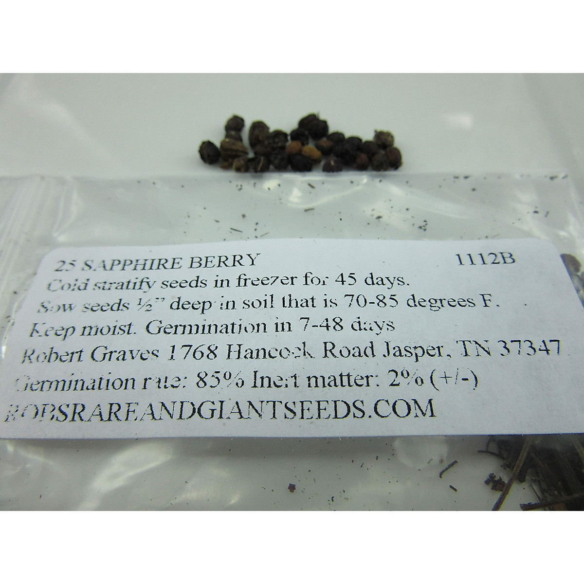 1112B-Sapphire Berry (Symplocos paniculata) Seeds by Robsrareandgiantseeds UPC0764425787099 Non-GMO,Organic,USA Grower, Bonsai, 1112-B Package of 25 Seeds