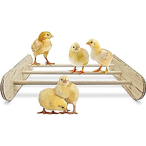 Backyard Barnyard Chick Perch and Mini Chicken Roosting Bar Set (2 Pack) Made in USA!!! Strong Natural Wood Jungle Gym Toys for Brooder and Coop Baby Birds Pollos Gallinas