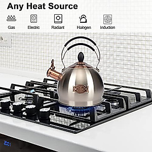 Whistling Tea Kettle Stainless Steel Teapot, Teakettle for Stovetop Induction Stove Top, Fast Boiling Heat Water Tea Pot 2.6 Quart