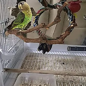 kathson Natural Parrot Perch Bird Stand Pole Wild Grape Stick Paw Grinding Fork Parakeet Climbing Standing Branches Toy Chewable Cage Accessories for Small Budgies Cockatiels Lovebirds 4PCS