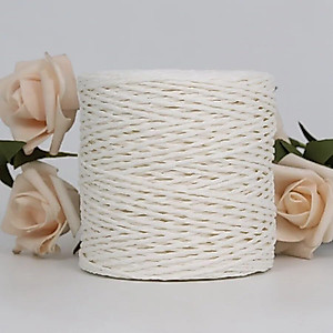 100g/ball Raffia Yarn Kintting Paper Straw Yarn for Crocheting Hat Fancy Yarn Flower Packing Summer Fashion Handmade Material (Color : Tgreen)